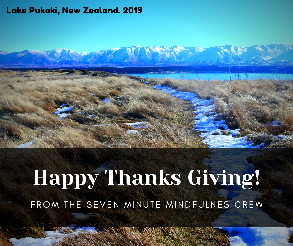 40% Thanks Giving Discount - Seven Minute Mindfulness